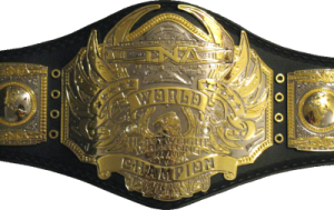 Accelerator's Wrestling Rollercoaster Title History